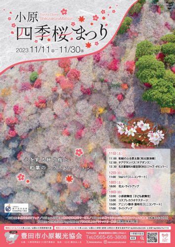 2023年小原四季桜まつり四季桜と紅葉の共演美小原観光協会愛知県豊田市