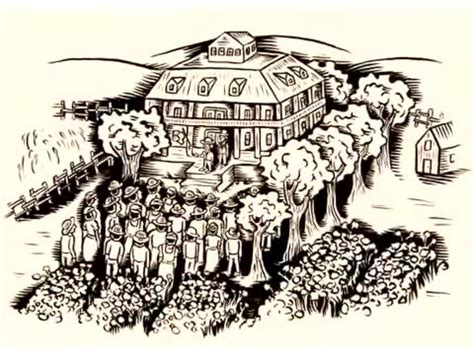 Andrew Tate Matrix Explained One News Page Video