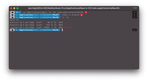 The Application Open In Vs Code Cant Be Opened Error After Right