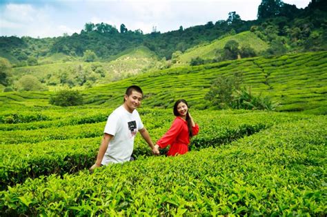 金马伦高原旅游攻略2017 旅泊网