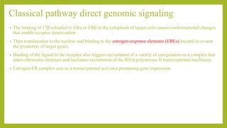 Molecular Mechanism Of Sex Hormone Action PPTX