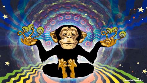 Trippy Pictures To Look At When Your High Hd