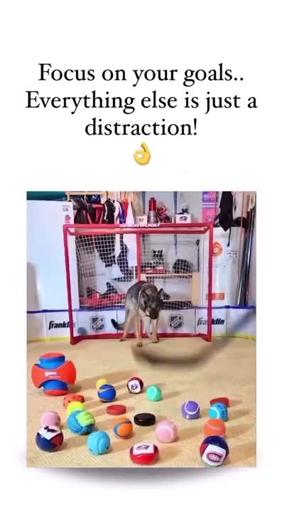 How To Focus On Your Goals With Mukesh Nagar Mukesh Naagar Posted On The Topic Linkedin