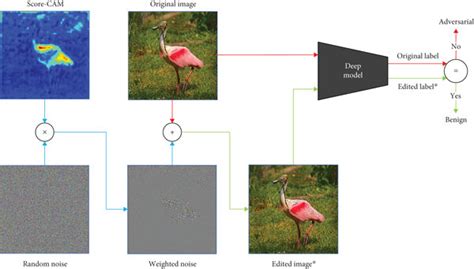 Detection Framework Based On Score Cam Decorated Noise Download Scientific Diagram