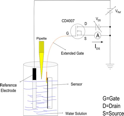 Egfet Extended Gate Field Effect Transistor Scheme For Glucose