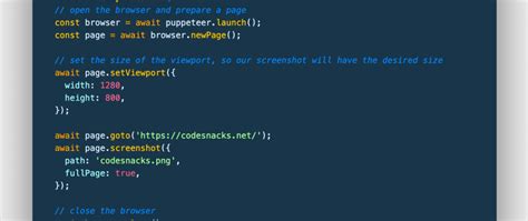 👟 Executing Javascript In The Page Context Of Puppeteer Dev Community
