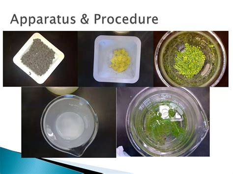 The Effect Of Substances On Dissolved Oxygen Level PPT