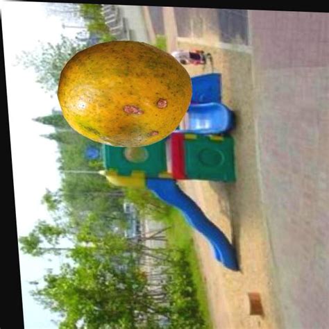 Ebeb Roboflow Universe