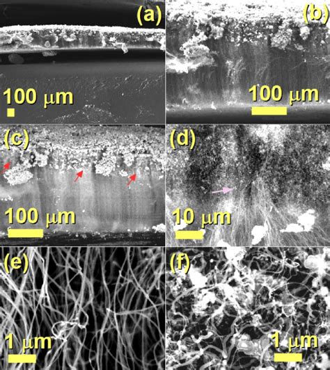 SEM Micrographs From A To D Showing The Morphology Of The Download Scientific Diagram