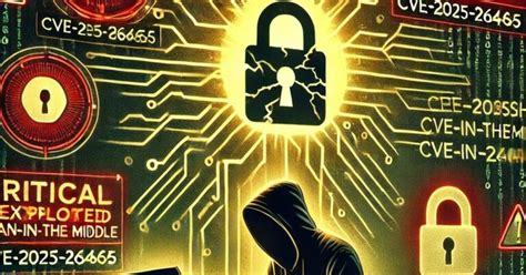 Opensshの重大な脆弱性がdos 攻撃や中間者攻撃に悪用される可能性 Cve 2025 26465 Cve 2025 26466 セキュリティニュースのセキュリティ対策lab