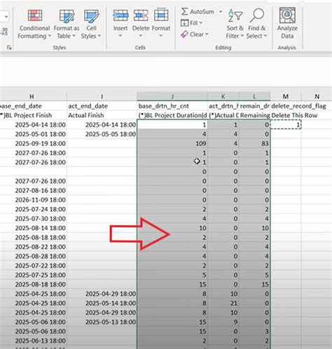 P6 Export To Excel Number Formatting Secret