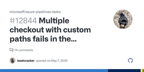 Multiple Checkout With Custom Paths Fails In The Container Job · Issue