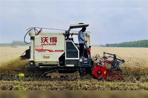 麦子保卫战无人机照明6台收割机 今晚连夜抢收500亩小麦丨三夏 码 上帮直播回放