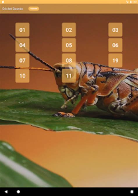 Cricket Sounds For Android Download