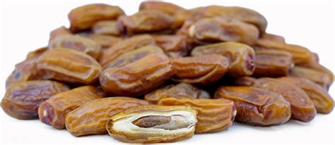 Deglet Noor Dates Information And Facts