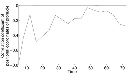 6 Estimated Spherical Correlation Coefficient Between Pronuclei Download Scientific Diagram