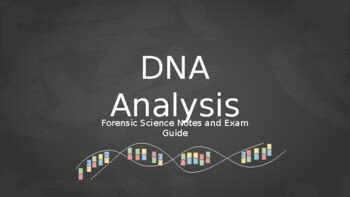 Forensic Science Slides DNA Analysis By Matter Of Learning TpT
