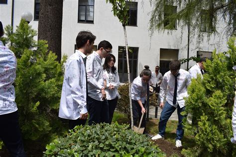 European School European School ევროპული სკოლა