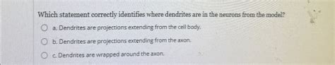 Solved Which Statement Correctly Identifies Where Dendrites