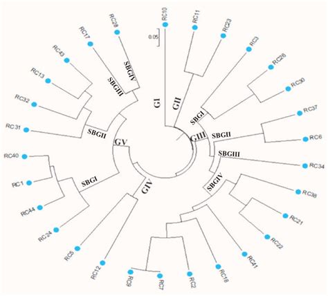 Dendrogram Based On The Nei Distance By The Unweighted Download Scientific Diagram