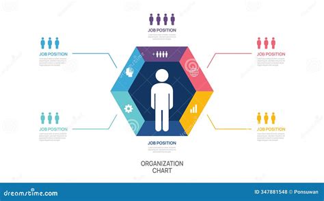 Organization Chart Infographic Template For With Business Avatar Icons Vector Stock Illustration