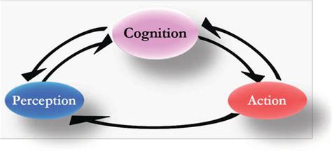 Brain Reorganization In Late Adulthood Rapid Left To Right Switch Of Handedness Through Memory