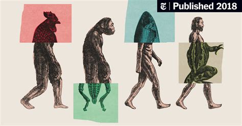 The Scientist Who Scrambled Darwins Tree Of Life The New York Times