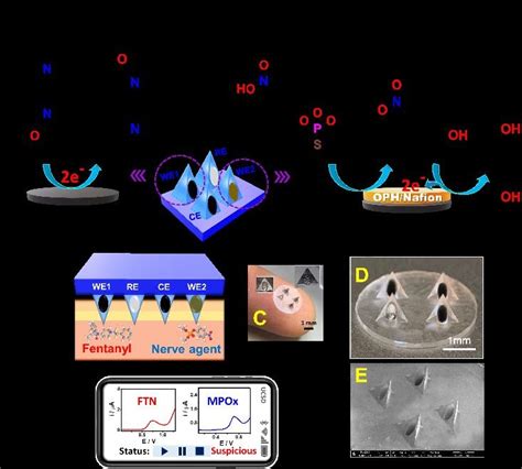 Microneedle Sensor Array For Detecting Opioids And Nerve Agents A Download Scientific Diagram