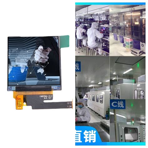 Inch Large Flexible OLED Screen LCD Display And TFT Display Price