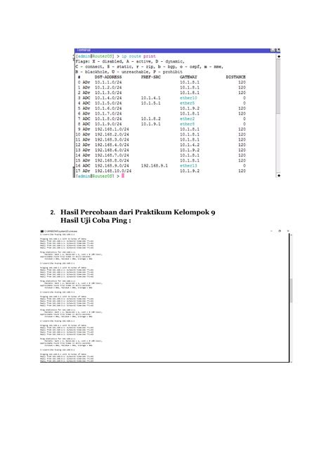 Dinamic Routing Kelompok 9 2110165007 2110165027 2110165029 PDF