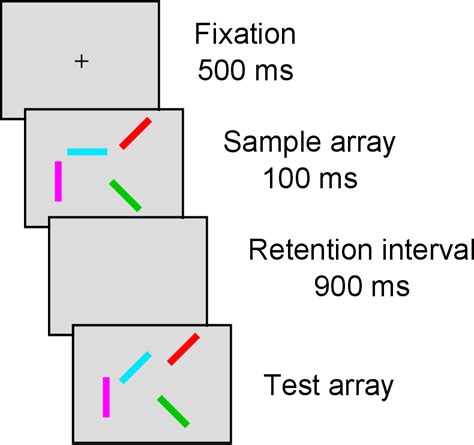 Figure 21 From Remembering Complex Objects In Visual Working Memory Semantic Scholar