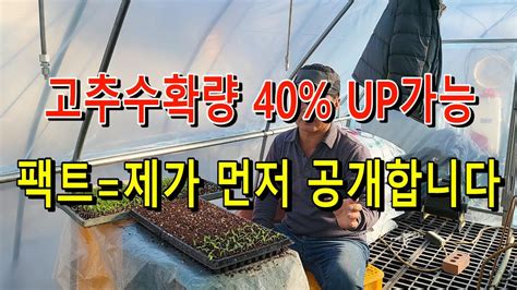 모종이식방법을 바꾸면 수확량을 확 올릴수 있습니다 Youtube