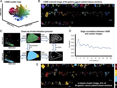 nonlinear clustering of tumor cell specific msi data from 63 patients