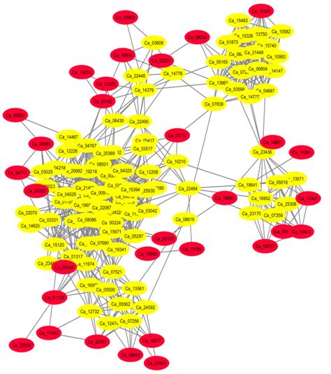 Gene Coexpression Network Gcn Diagram Of The Co Expressed Genes