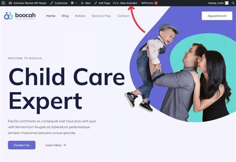 Animator Review A Wordpress Animation Plugin A Single Click