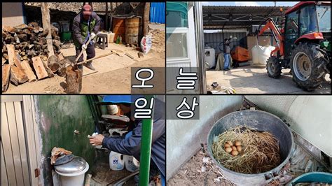 3월5일 오늘 하루 일상 아부지는 도끼로 나무 또개고 상태네 닭사료 트랙터로 옮기고 용동어른 수도 세탁기 고치고 큰집 닭 모이 물주고 달걀도 보고 Youtube