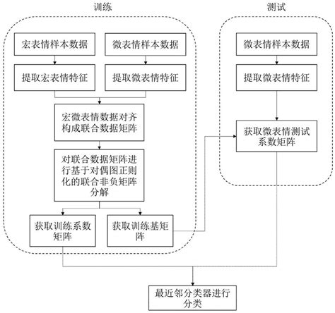 micro expression recognition method based on dual graph regularization