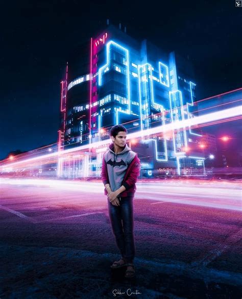 Sudhansu L Portfolio