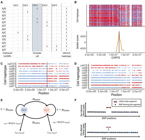 Sgcocaller Phase And Sgcocaller Swphase Generate Personalised