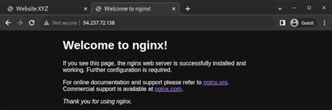 Cara Konfigurasi Nginx Reverse Proxy SSL Let S Encrypt Di Docker