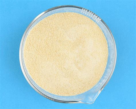 壳聚糖季铵盐盐酸盐羧甲基壳聚糖 南通绿神生物工程有限公司