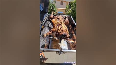 Lecholi Spitbraai Youtube