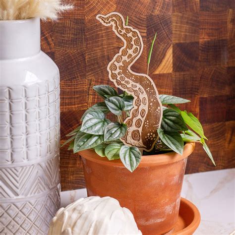 Tentacle Wooden Plant Stake The Print Pantry
