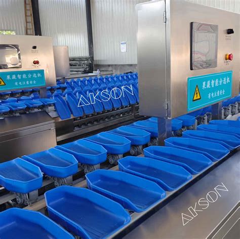 Carrot Weighting Sorting Machine Weight Sorter Grading