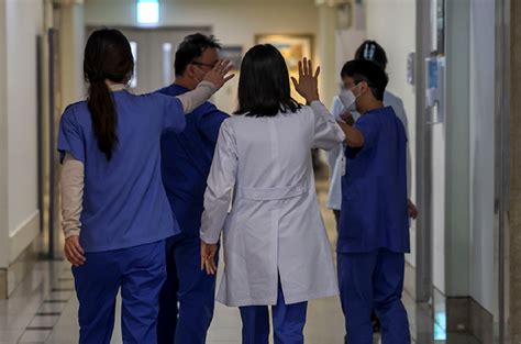 시신 해부 실습이 60만원의사단체 유료 해부학 강의 개설업체 고발