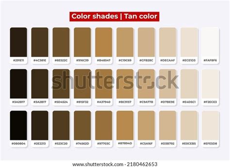 1 545 Hex Color Code Stock Vectors And Vector Art Shutterstock