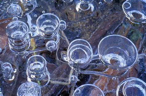 Methane Bubbles Stock Image E245 0110 Science Photo Library