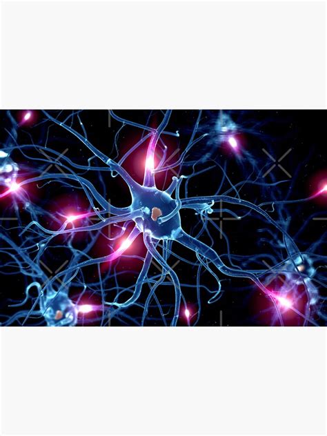 Pegatina Dendritas Y Un Axón 1 Las Dendritas Y Los Axones Son