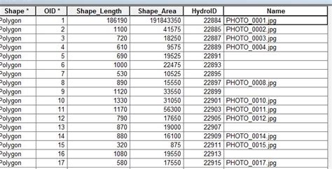 Arcgis Desktop Autopopulating Text Field With String And Number Combination Geographic