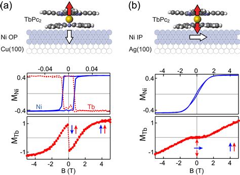 Coupling Of Single Molecule Magnets To Ferromagnetic Substrates Magnetism And Interface